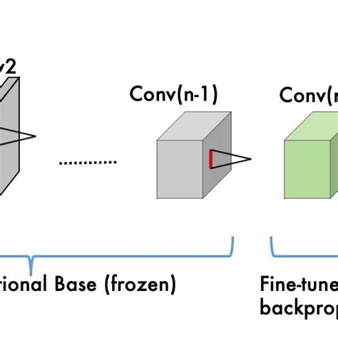 Network Architecture Used For Fine Tuning Pre Trained Cnn Download