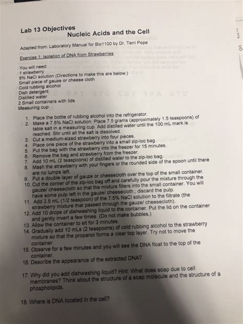 Solved Lab Objectives Nucleic Acids And The Cell Adapted Chegg
