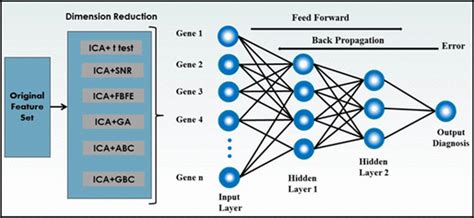 Ann Classification Of Microarray Data With Different Dimension