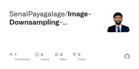 Github Senalpayagalageimage Downsampling Processor Design