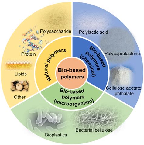 Different Types Of Bio Based Polymers Download Scientific Diagram