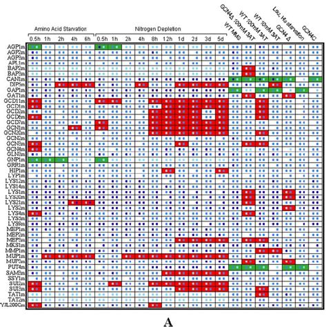 Model Discrepancy A Discrepancy Matrix For The Expression Data