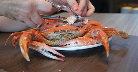 Crab Knife Seafood Tools Lobster Crab Cracker Gadgets Cooking Tools Claws Sheller Stone