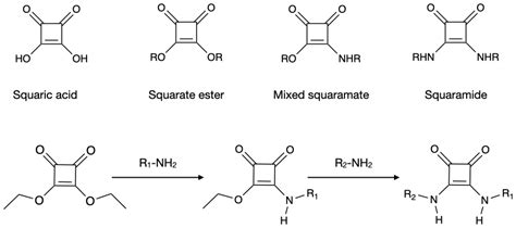 On The Importance Of Squaramide And Squarate Derivatives As Metal