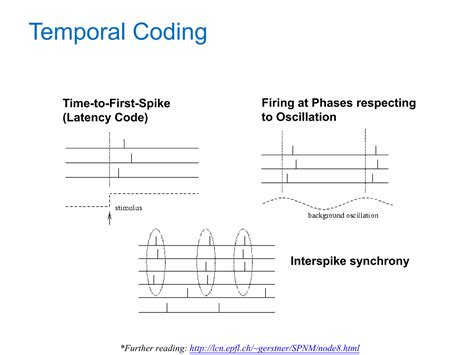 introduction to spiking neural networks from a computational