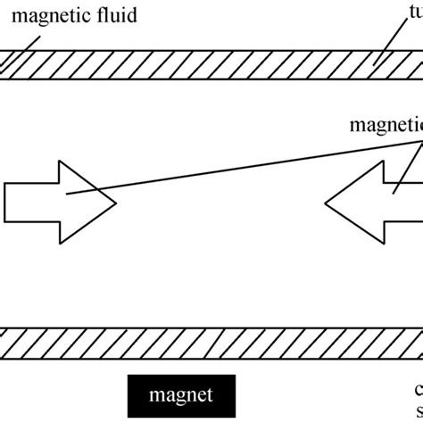 Principle Of Thermomagnetic Convection Download Scientific Diagram