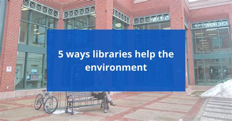 5 Ways Libraries Help The Environment