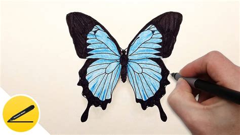 How To Draw A Butterfly Step By Step Easy Drawing Tutorial Step By Step
