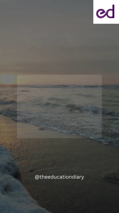 [video] The Education Diary On Linkedin Copywriter Copywriting Contentmarketing Datascience