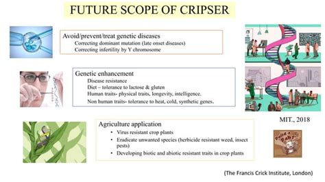 Crispr Future Prospects In Public Health Ppt
