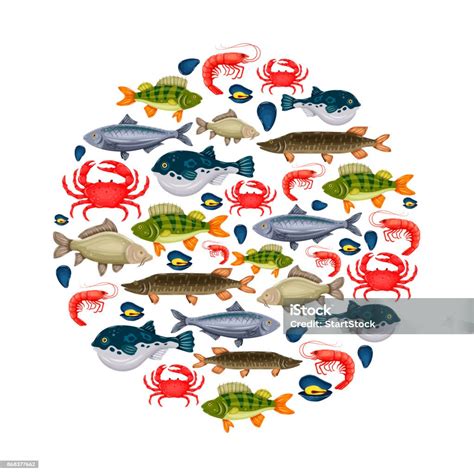 해산물 원에 새우와 게 생선 홍합 설정합니다 레스토랑 메뉴 시장에 대 한 디자인입니다 평면 스타일벡터 일러스트 레이 션에에서 해양 생물 0명에 대한 스톡 벡터 아트 및 기타