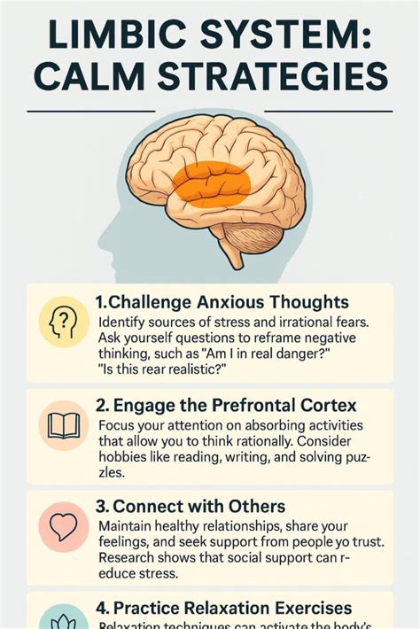Understanding The Limbic System The Brains Emotional Center Adhd
