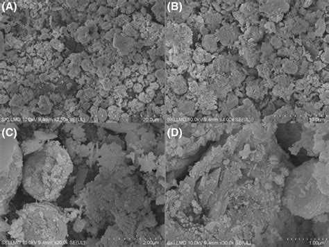 SEM image of rice husk hierarchical porous ZnO | Download Scientific ...