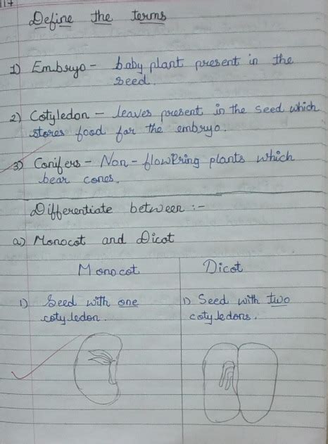 Evs Classification Of Plants