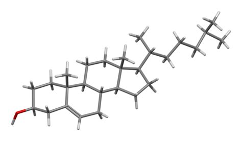 Cholesterol Lewis Structure