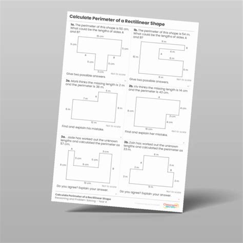 Year 4 Calculate Perimeter Of Irregular Polygons Reasoning And Problem Solving Resource