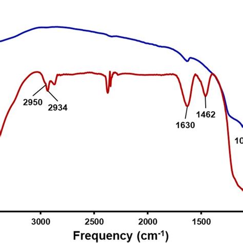 High Resolution Xps Spectra Of Pd3d For Download Scientific Diagram
