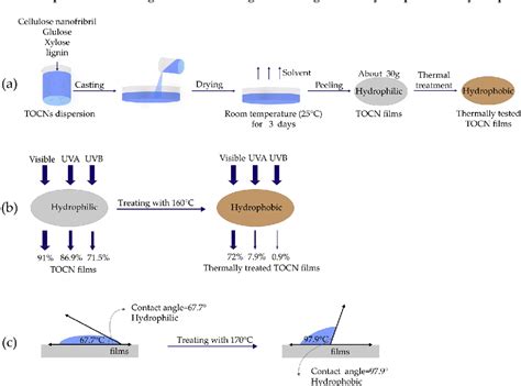 Figure 7 From Nanocellulose Composite Films In Food Packaging Materials A Review Semantic Scholar