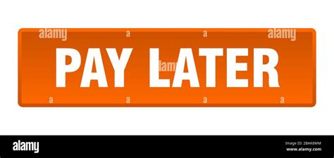 Pay Later Button Pay Later Square Orange Push Button Stock Vector Image And Art Alamy