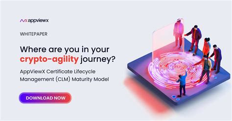 Deepthi Raj On Linkedin Appviewx Certificate Lifecycle Management Clm Maturity Model