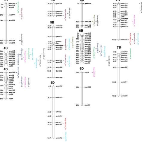 population structure population structure clustering of 100 indian