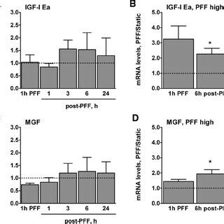 Effect Of Pulsating Fluid Flow PFF On IGF I Ea And MGF MRNA Levels In Download Scientific