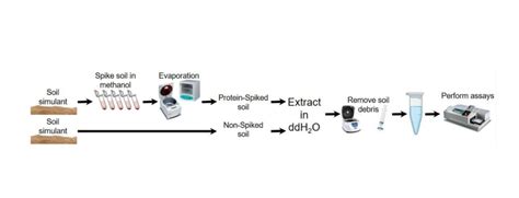 Potential For Life In Martian Perchlorate Brines Astrobiology