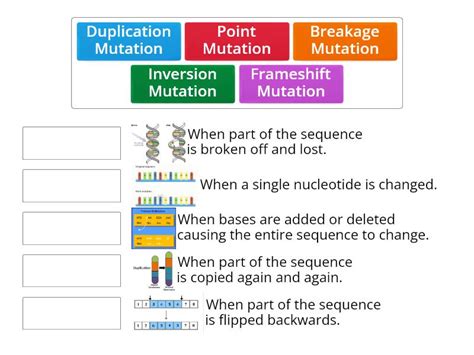 Mutation Types Matching Une Las Parejas