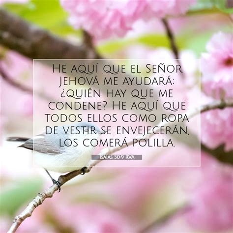 Isaías 509 Significado Del Versículo De La Biblia He Aquí Que El