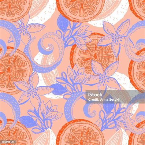 오렌지 패턴 과일 감귤류 레몬 여름 꽃 열대 꽃 빈티지 봄 음식 지점 자연 벡터 원활한 그림 패턴에 대한 스톡 벡터 아트 및 기타 이미지 Istock