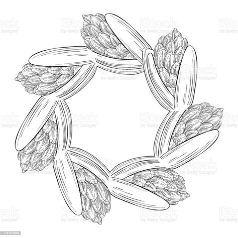 꽃 화환 잉크 스케치입니다 명함 배너 포스터 포장 직물 노트북 초대장을 위한 템플릿 인쇄 0명에 대한 스톡 벡터 아트 및 기타 이미지 Istock