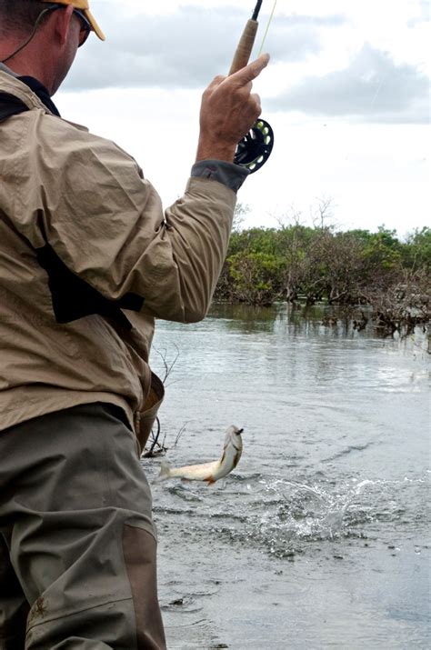 Dsc 0352 Adam Kryder Flickr