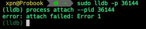 MacOS Injection Via Third Party Frameworks XPN InfoSec Blog