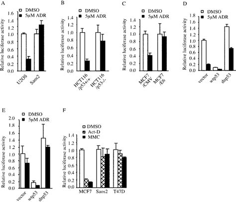 P53 Represses The Brca2 Promoter A Repression Of The Brca2 Promoter Download Scientific