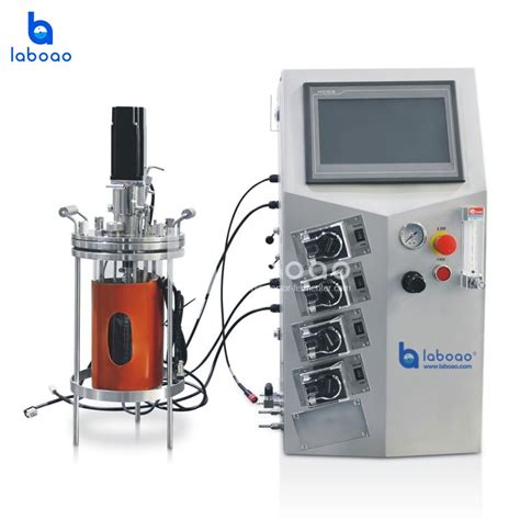 China Single Wall Off Site Sterilization Glass Bioreactor Manufacturer