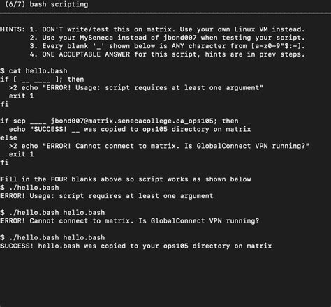 Solved Bash Scripting HINTS DON T Write Test This Chegg