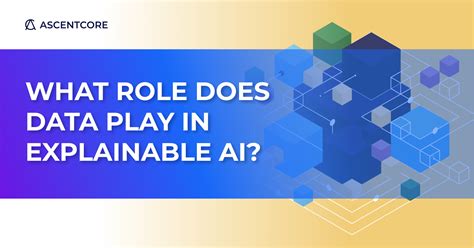 What Role Does Data Play In Explainable Ai Ascentcore