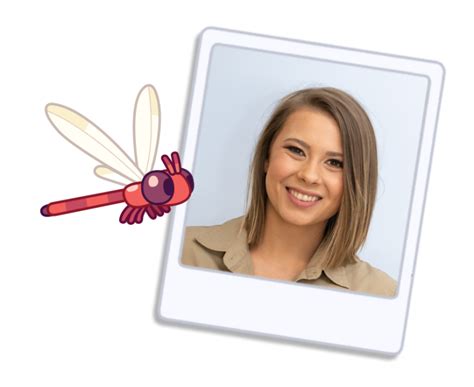 Bluey Bluey Book Reads The Creek Bindi Irwin