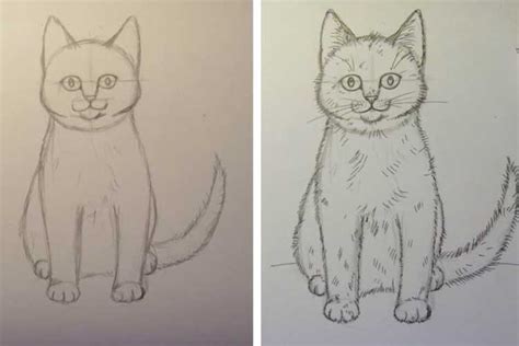 Cat Front View Drawing