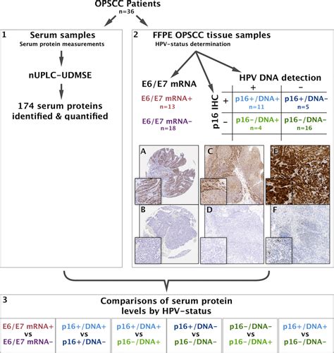 workflow serum samples and ffpe samples were analysed from patients