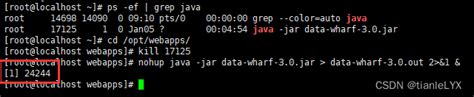java项目上线步骤 java项目部署到产品上线全过程 csdn博客