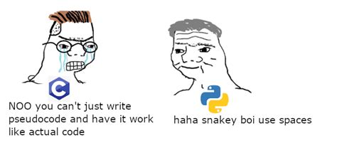 🐍 r programmerhumor