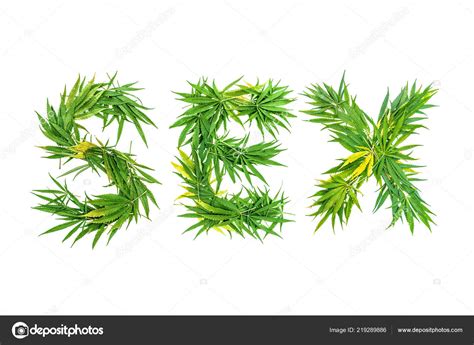 Word Sex Made Green Cannabis Leaves White Background Isolated Stock Photo By Watman