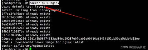 【docker】镜像使用（nginx 示例） docker nginx 镜像 csdn博客