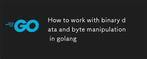 how to work with binary data and byte manipulation in golang golang php cn