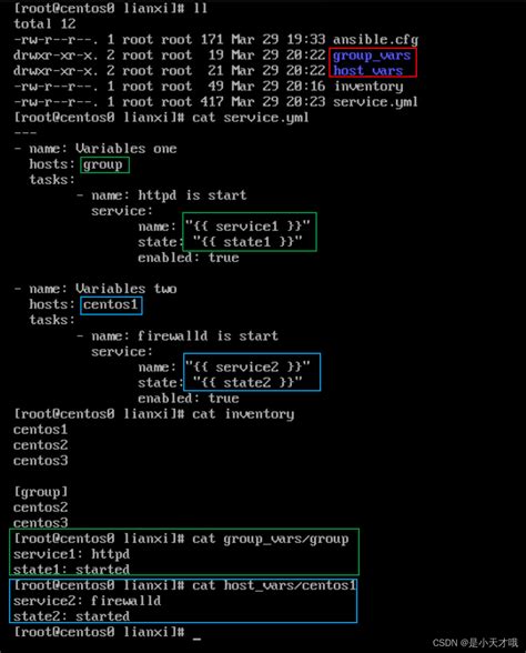 百战rhce（第五十二战：运维工程师必会技 ansible学习7 ansible变量） ansible 输出 主机变量 csdn博客