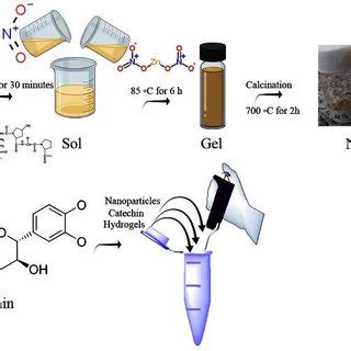 Schematic diagram of nanoparticles' synthesis. | Download Scientific ...