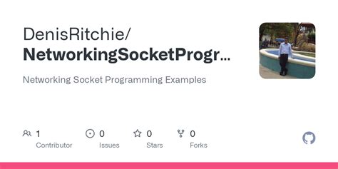 GitHub DenisRitchie NetworkingSocketProgramming Networking Socket Programming Examples