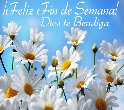 ¡feliz Fin De Semana Dios Te Bendiga Flowers Photography Daisy