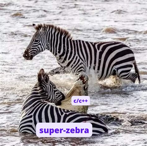 Github Alternative Zebrasuper Zebra A Micro Programming Language For Some Simple Work